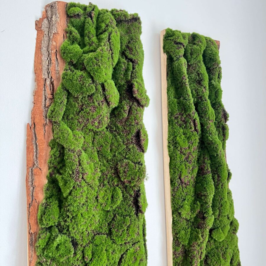 Floell | Moskunst, plantevægge og dekoration